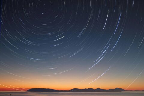 Organizational Culture: The North Star in Healthcare - California ...
